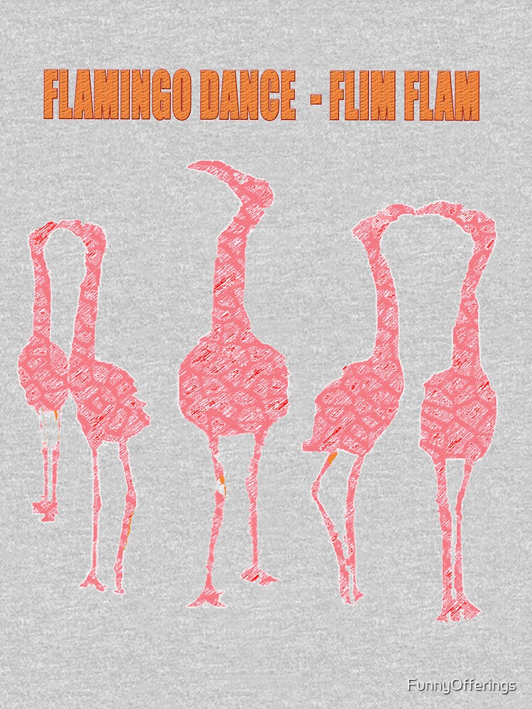 "FLIM FLAM Flamingo Dance" Kids Pullover Hoodie for Sale by ...