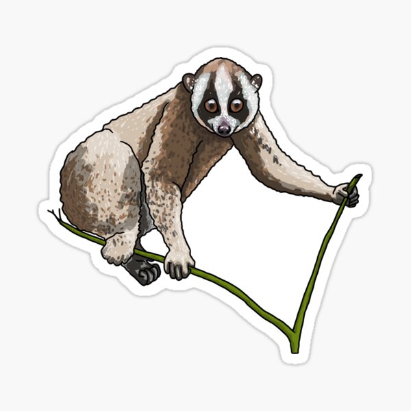 "Javan Slow Loris (Nycticebus javanicus)." Sticker by Pongidae | Redbubble