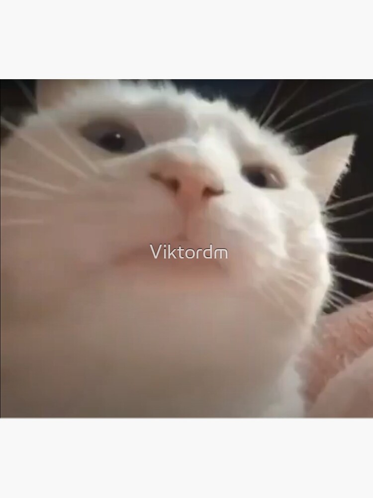 Pegatina for Sale con la obra «Cat Jamming» de Viktordm | Redbubble