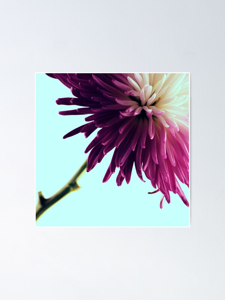 "Pink and White Beautiful Floral" Poster for Sale by 2nspire | Redbubble