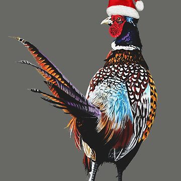 "Christmas Pheasant with Christmas hat - Festive pheasants - game bird ...