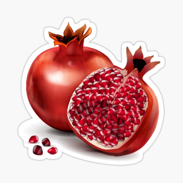 "pomegranate" Sticker for Sale by parmidesign | Redbubble