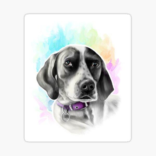 "Pointer dog" Sticker for Sale by Pagnoo | Redbubble
