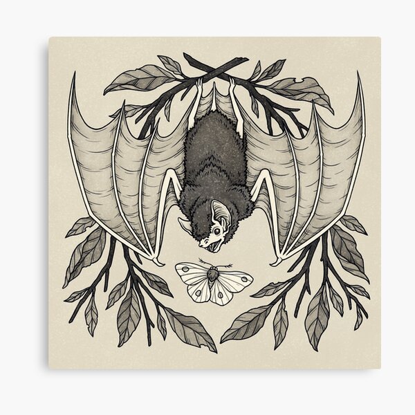 "Bat and Moth" Canvas Print by Veymoth | Redbubble