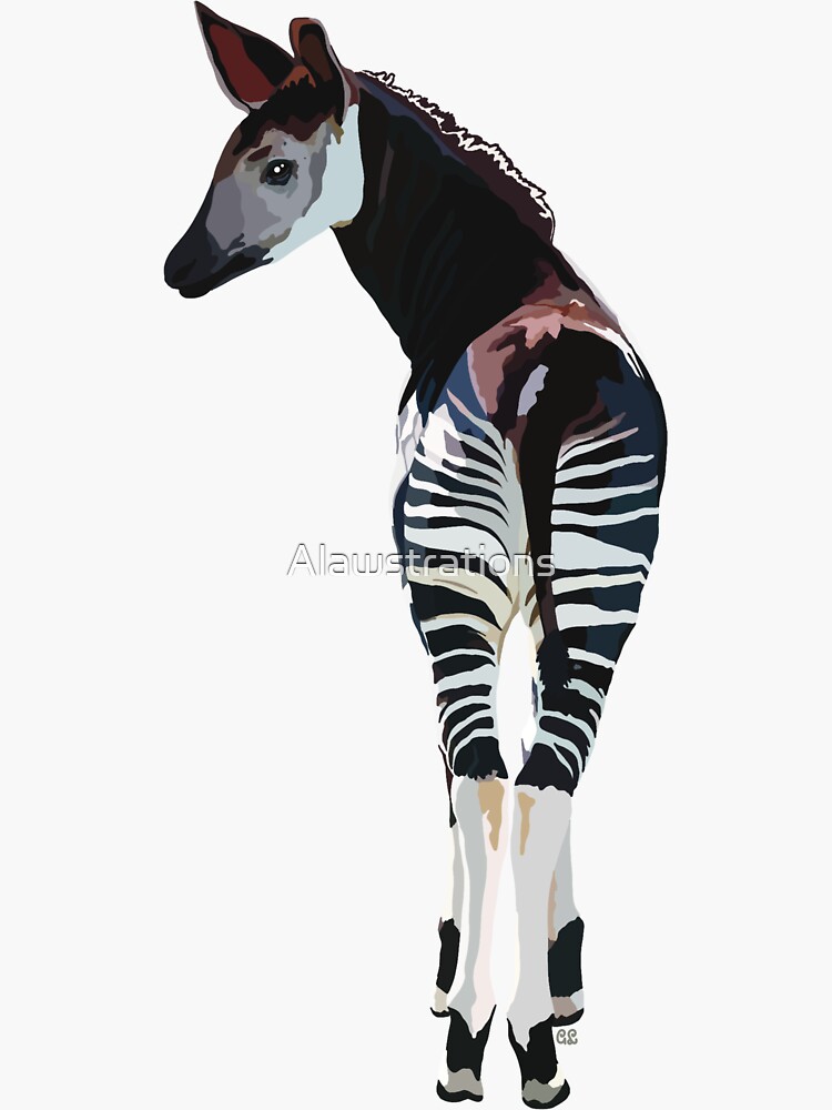 "Okapi (Okapia johnstoni)" Sticker for Sale by Alawstrations | Redbubble