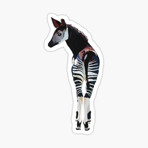 "Okapi (Okapia johnstoni)" Sticker for Sale by Alawstrations | Redbubble