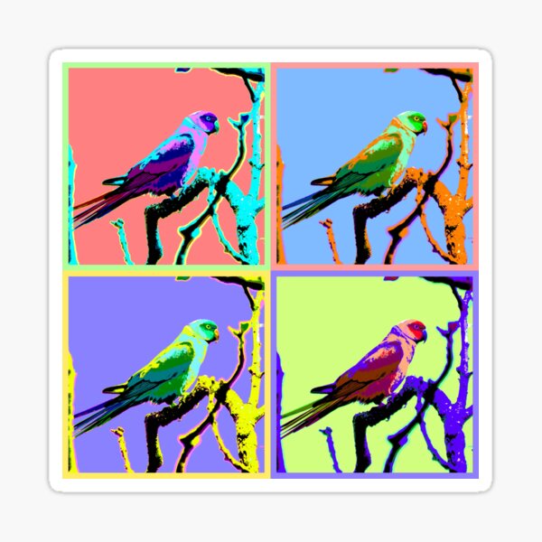 "Neon and Pastel Barbados Green Parrot_Rose-Ringed Parakeet Collage ...
