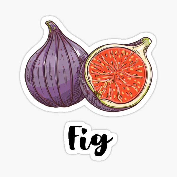 "Fig Fruit - Label Series" Sticker for Sale by cuteCREEPshop | Redbubble