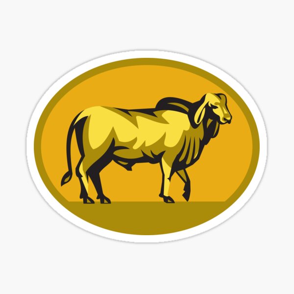 "Brahman Bull Oval Retro" Sticker for Sale by patrimonio | Redbubble