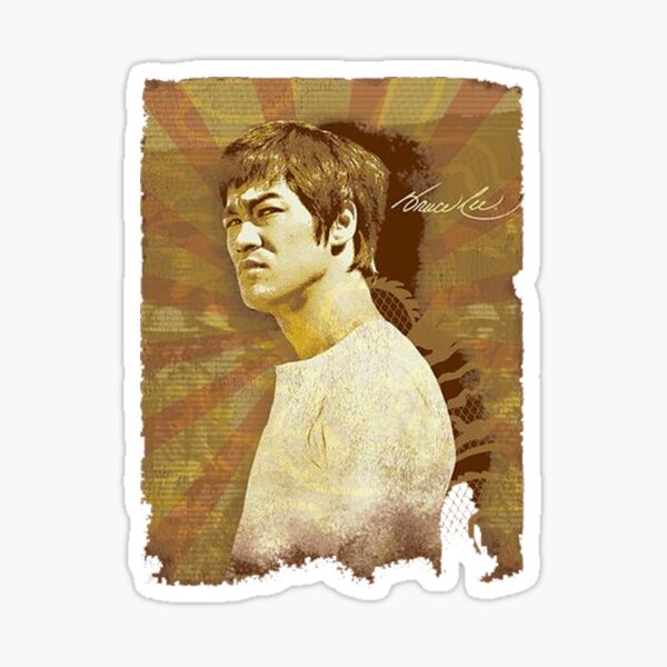 Bruce Lee Stickers | Redbubble
