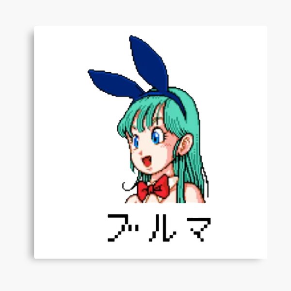 "Pixel Art Bulma Bunny Girl" Canvas Print by NeeZukoArt | Redbubble