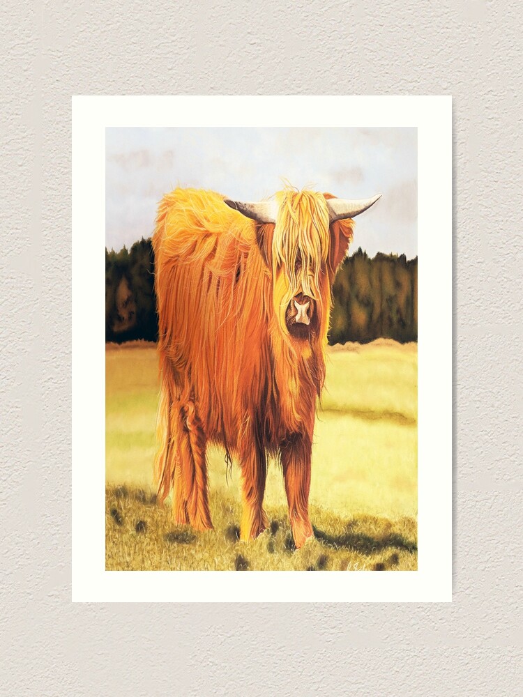 ""Heilan Coo", Highland Cow, Highland Cattle, Cattle, Cow" Art Print ...