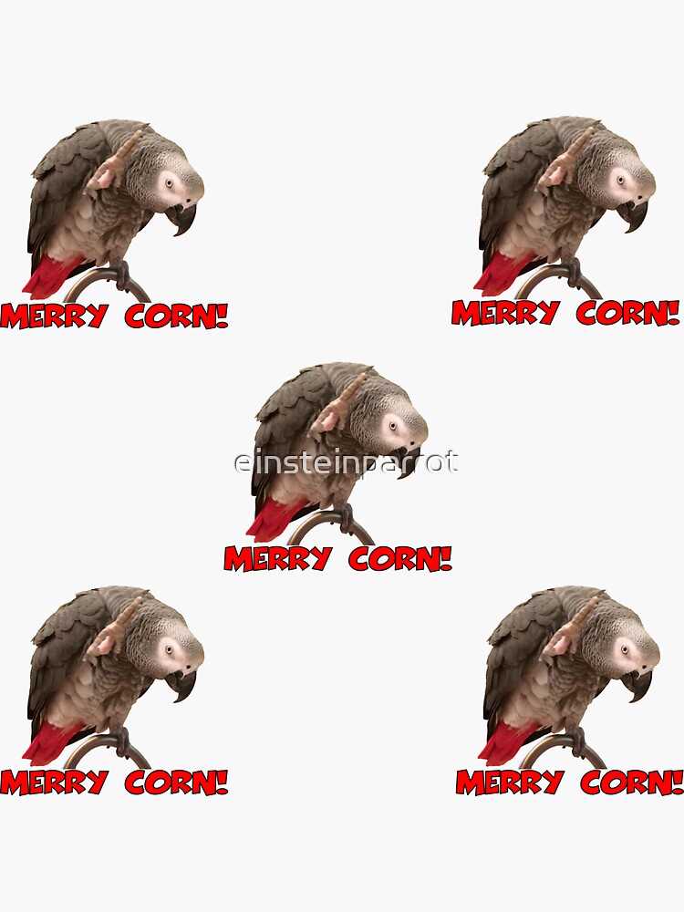 "African Grey Parrot Waving Merry Corn Sticker Pack" Sticker for Sale ...