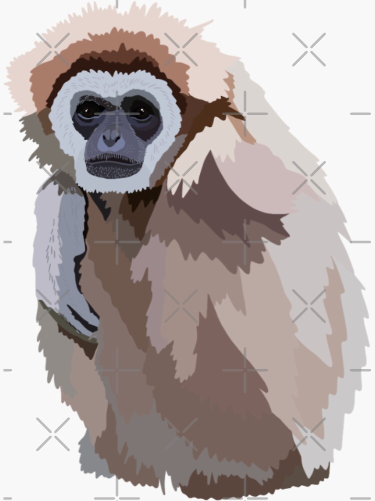 "G is for Gibbon " Sticker for Sale by thezoogirl | Redbubble