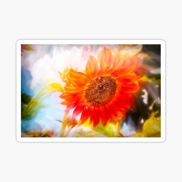 "Solar Flare" Sticker by butterbean57 | Redbubble