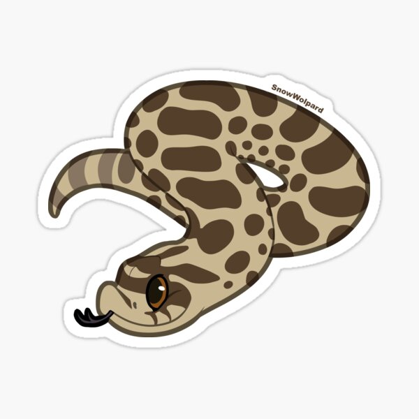 "Little Hognose Snake" Sticker by SnowWolpard | Redbubble