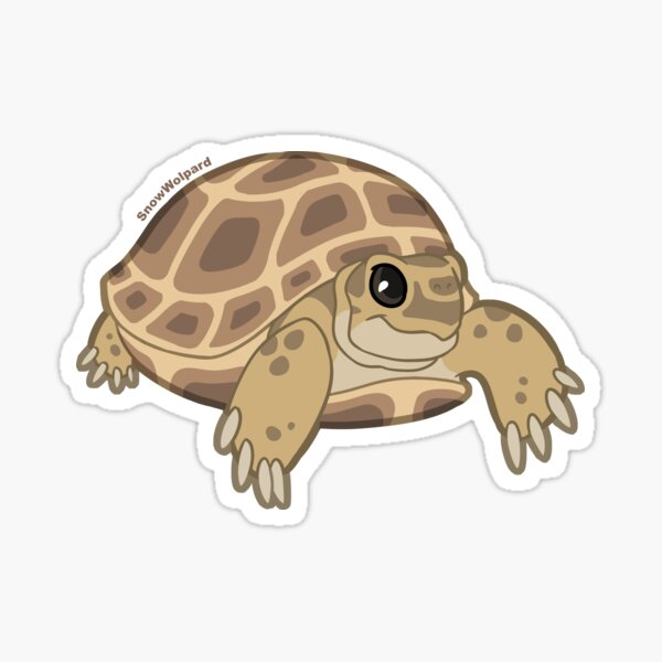 "Little Russian Tortoise" Sticker by SnowWolpard | Redbubble