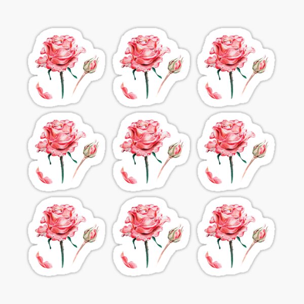 "Peach + Pink Roses, Buds + Petals" Sticker for Sale by aquaepictura ...