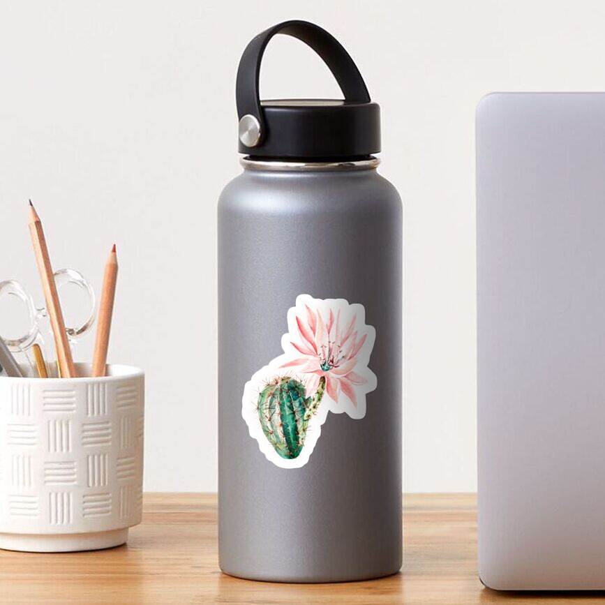 "Peachy Pink Watercolor Cactus + Flower" Sticker for Sale by ...