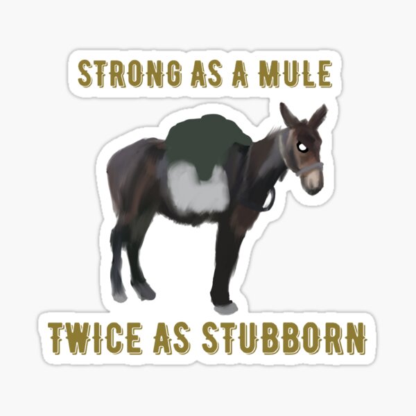 "Strong as a mule twice as stubborn Angry Donkey - Stubborn Mule ...