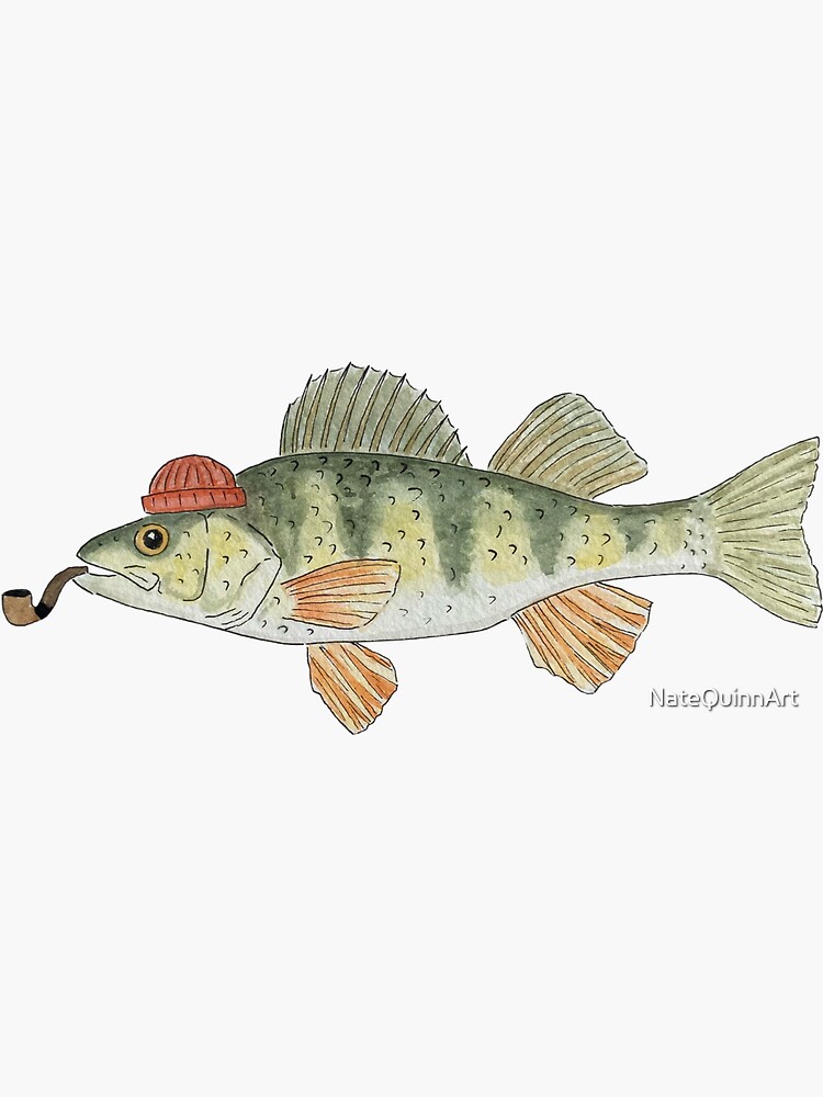 "Sir Yellow Perch" Sticker for Sale by NateQuinnArt | Redbubble