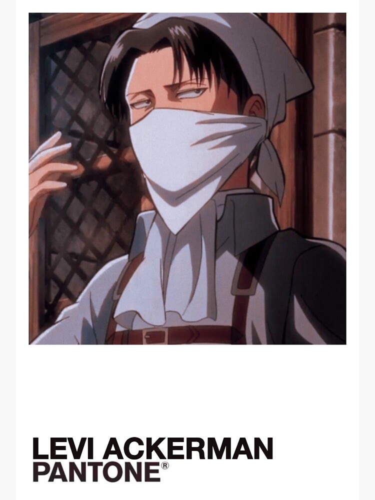 "Levi Ackerman Color Swatch" Sticker for Sale by dayna5970 | Redbubble