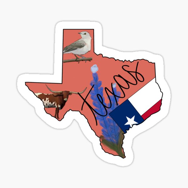 "Texas State" Sticker by dbraly | Redbubble