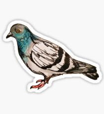 Pigeon: Stickers | Redbubble