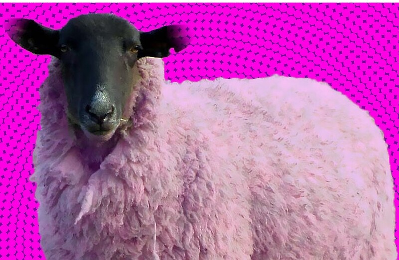 "The Most Random Thing Ever" Laptop Skins by Colininja | Redbubble