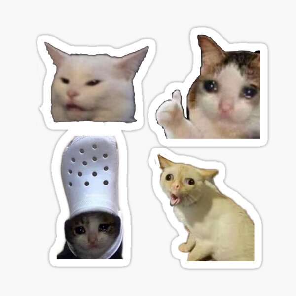 "Meme Cat Sticker Pack" Sticker by katieeh21 | Redbubble