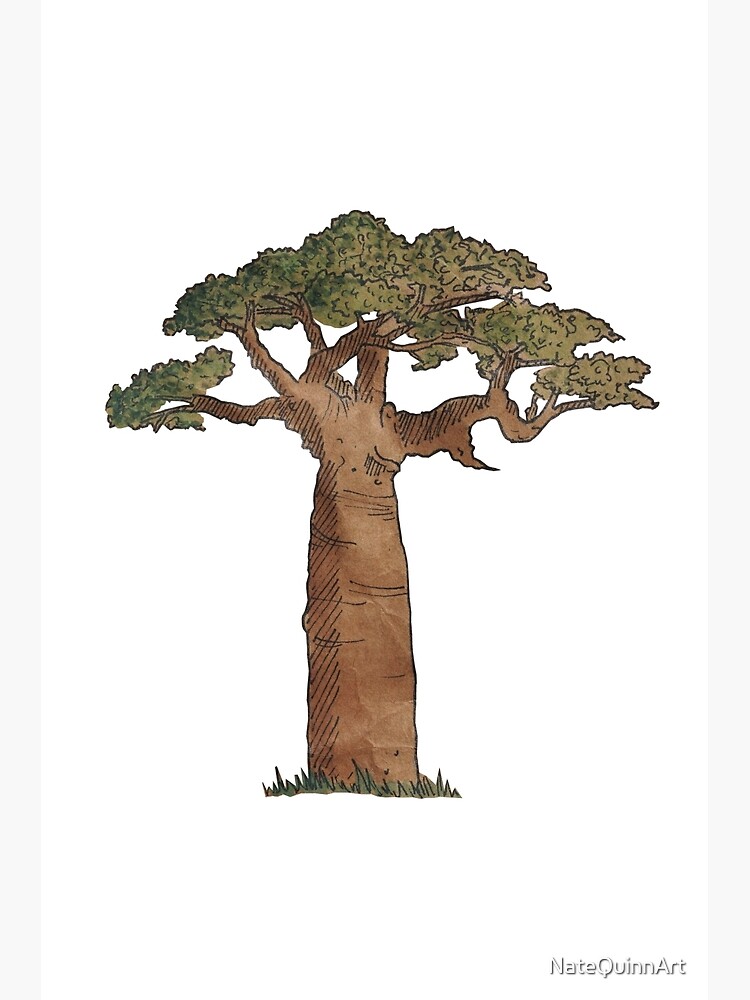 "Baobab " Poster for Sale by NateQuinnArt | Redbubble