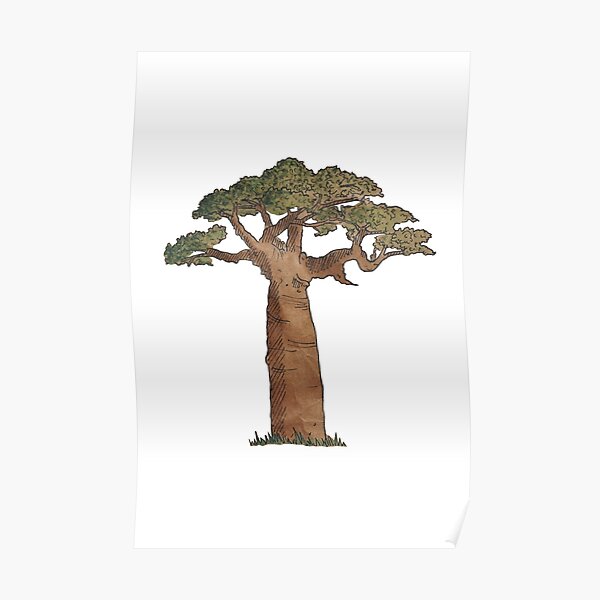 "Baobab " Poster for Sale by NateQuinnArt | Redbubble
