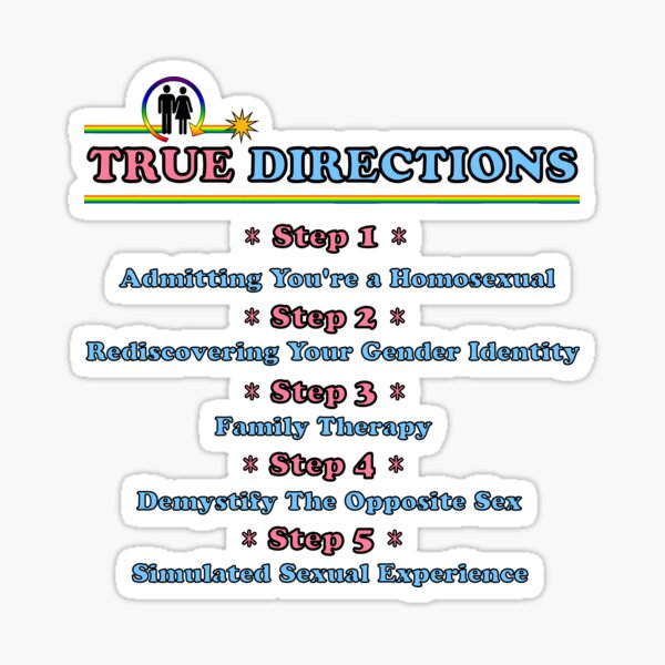 "True Directions (But I'm a Cheerleader)" Sticker for Sale by Faction ...