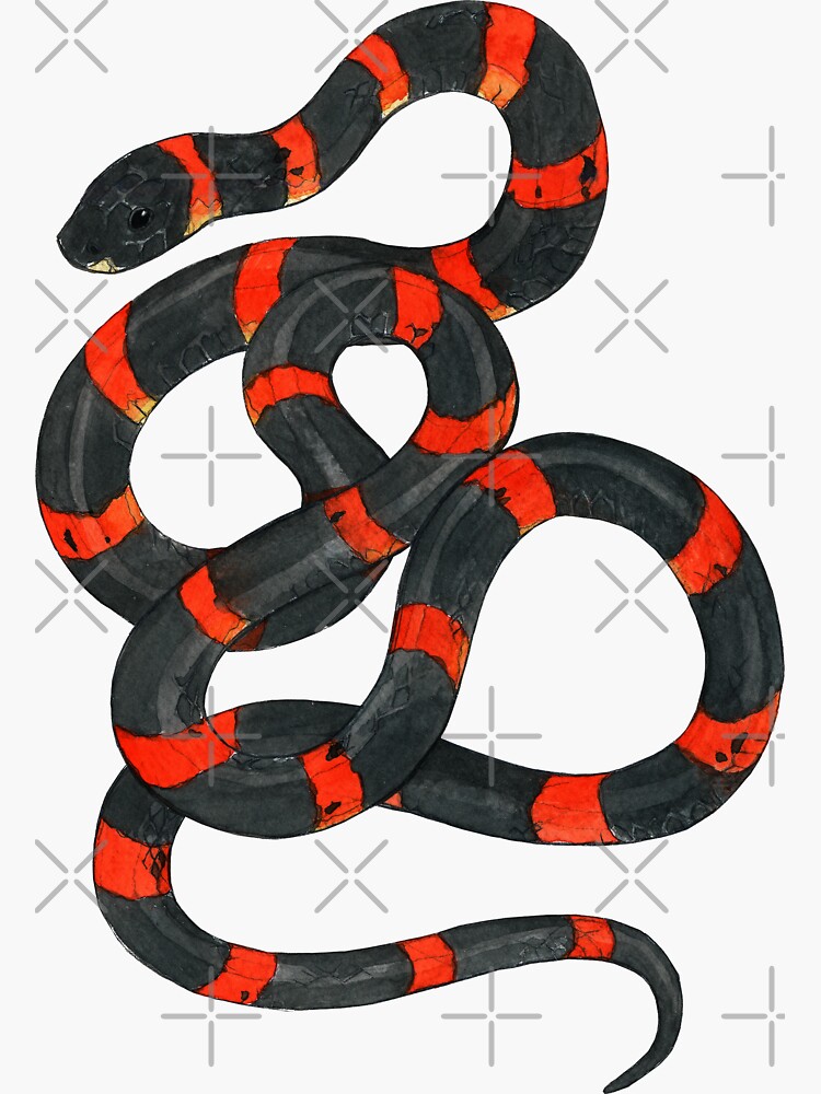 "Black halloween snake" Sticker for Sale by TribeOfSparrow | Redbubble