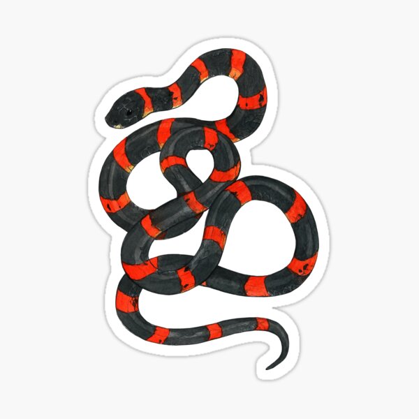 "Black halloween snake" Sticker for Sale by TribeOfSparrow | Redbubble