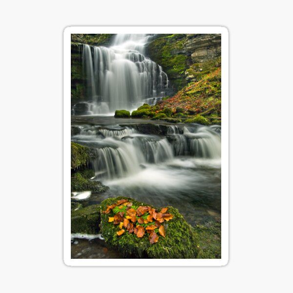 "Scalebar Force, Settle" Sticker for Sale by stevesimages1 | Redbubble