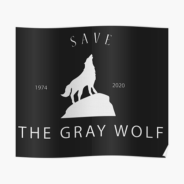 "Save The Gray wolf,wolves" Poster by makoul | Redbubble