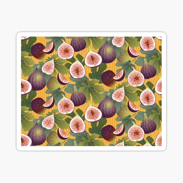 "Sunshine Figs & Leaves" Sticker for Sale by Pamelandia | Redbubble
