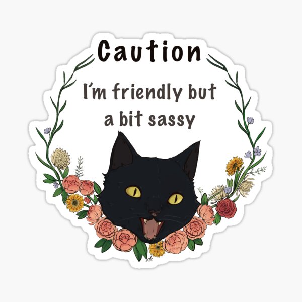"Friendly but sassy" Sticker for Sale by Aricherrypie | Redbubble