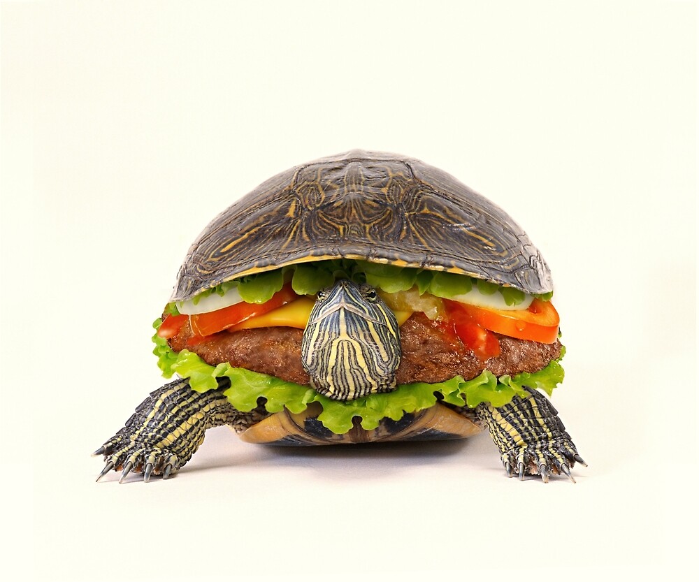 "Turtle Burger" by Kitty Bitty | Redbubble