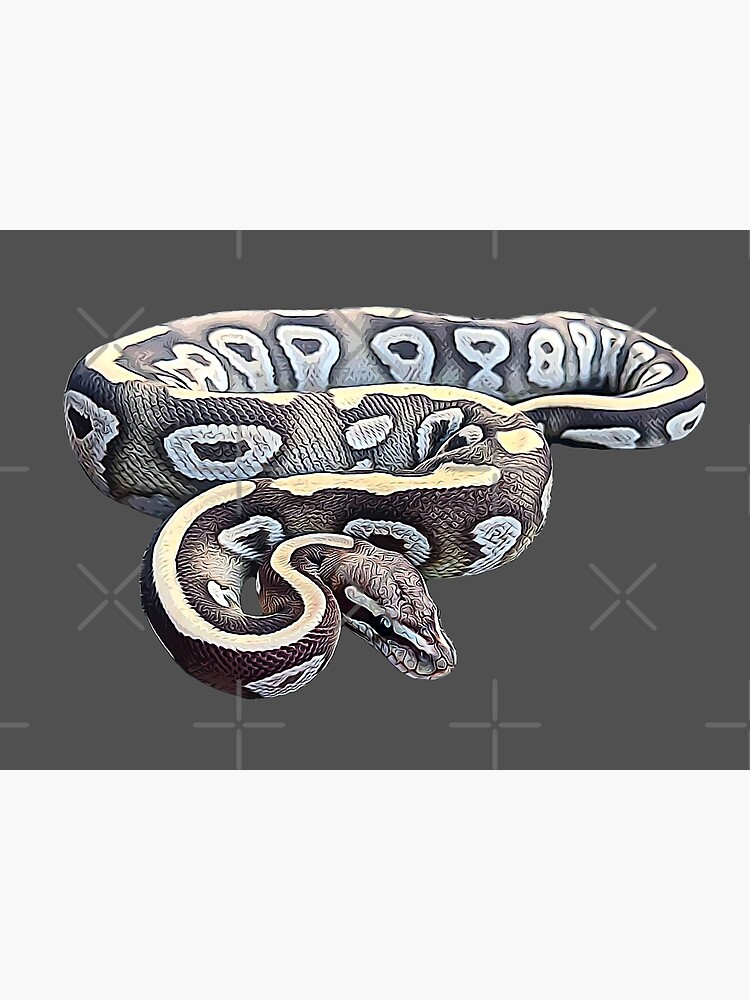 "Ball Python Mojave Desert Ghost Pastel Beauty" Art Print by Elarex ...