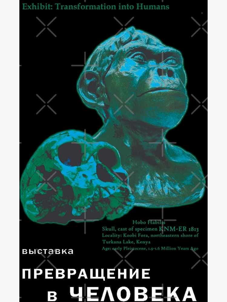 "Hobo Habilis - Exhibit" Art Print for Sale by BLACK93 | Redbubble