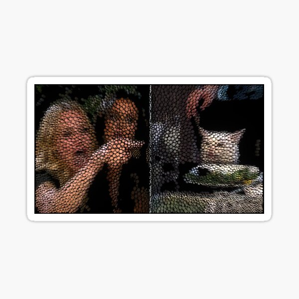 "Cat Meme" Sticker for Sale by nav-e | Redbubble