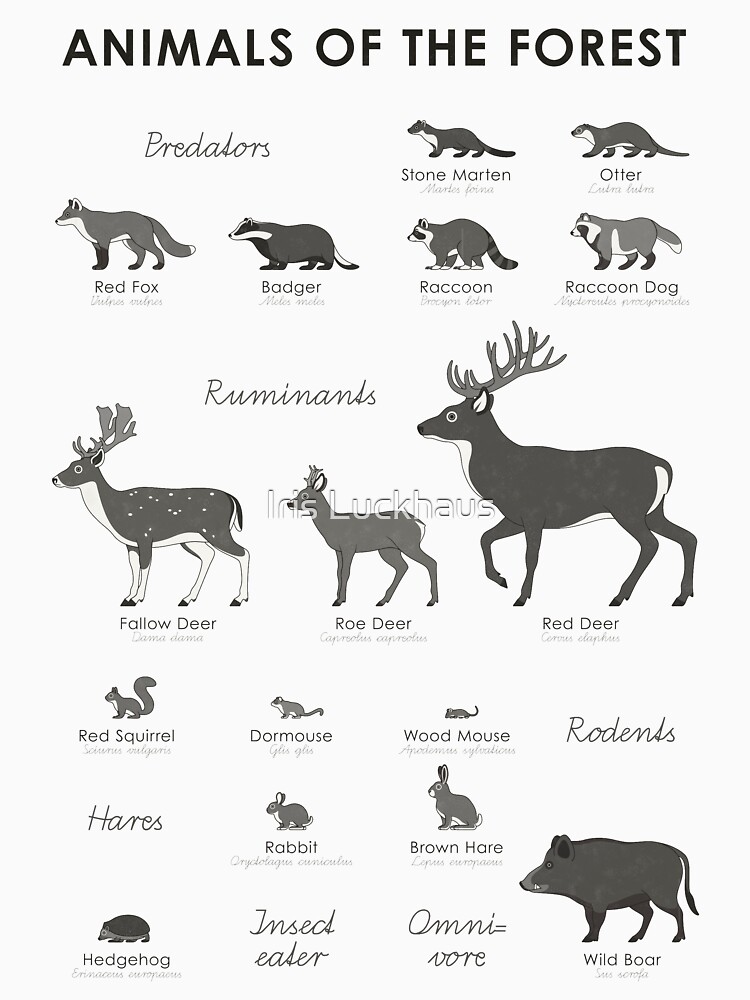 "Common Forest Animals Identification Chart" T-shirt by irisluckhaus ...
