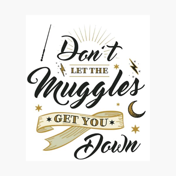 Dont Let The Muggles Get You Down Photographic Prints | Redbubble
