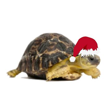 "Christmas Tortoise Turtle Merry Christmas Xmas Gift Stickers Notebook ...