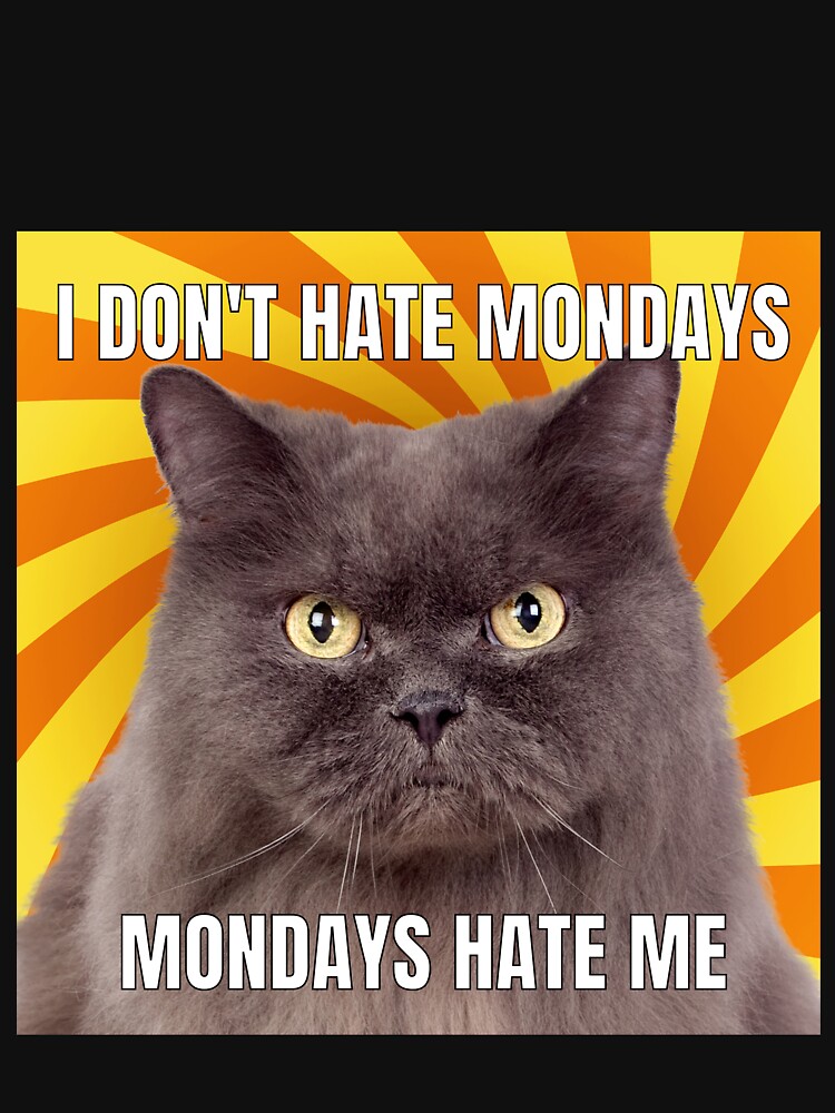 "I dont Hate Mondays, Mondays hate me Cat Meme Funny Cool" T-shirt by ...