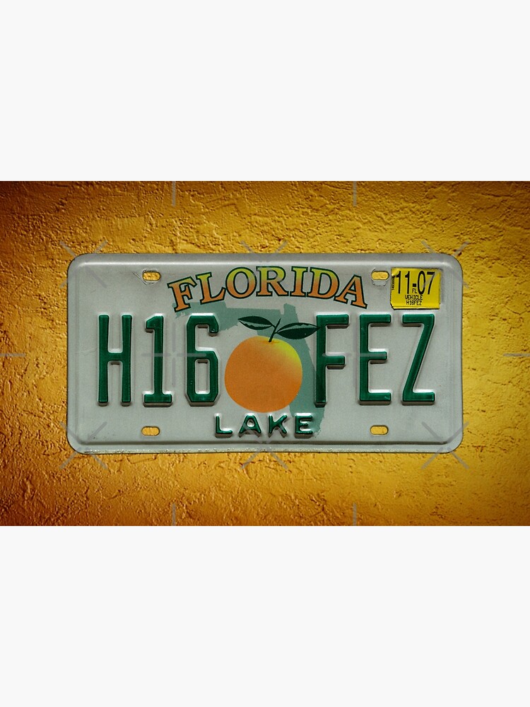 "Lake County Florida License Plate" Poster for Sale by Enzwell | Redbubble