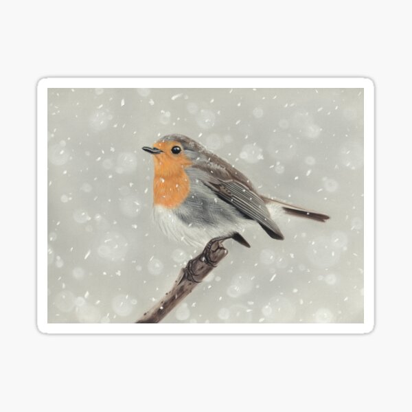 "Snowy robin on a branch Christmas drawing " Sticker by SabrinaJonesArt ...