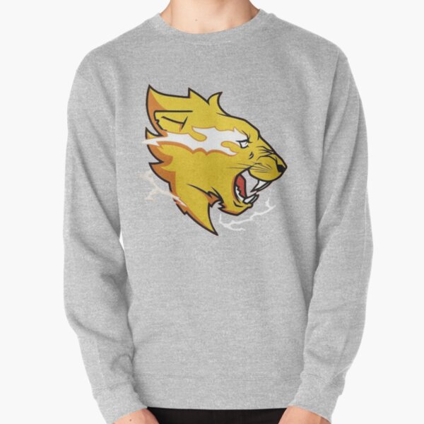 Mrbeast Sweatshirts & Hoodies | Redbubble